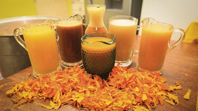 El pulque especial de la época… ¿lo has probado? – Bien Común