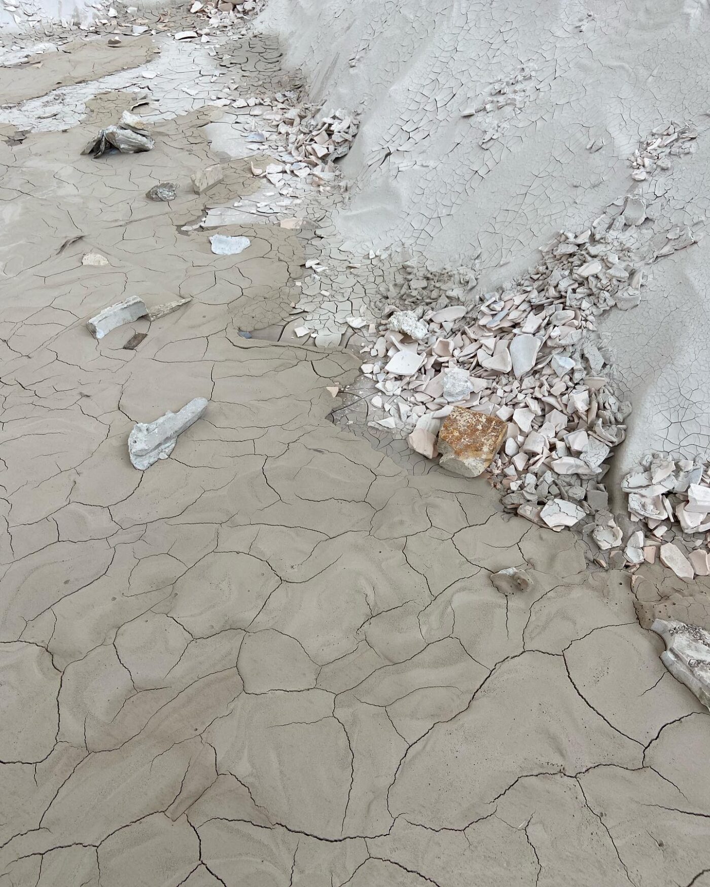 Instalación en MUCA muestra relación y alteración entre el ser humano y ...