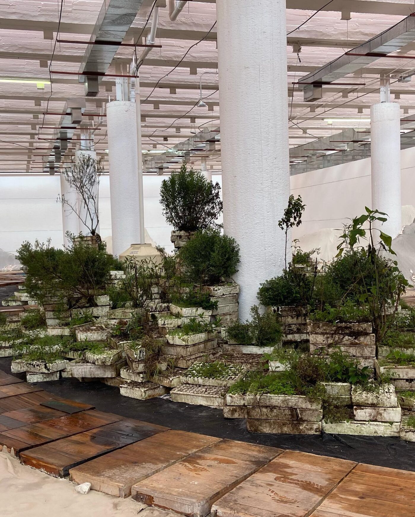 Instalación en MUCA muestra relación y alteración entre el ser humano y ...