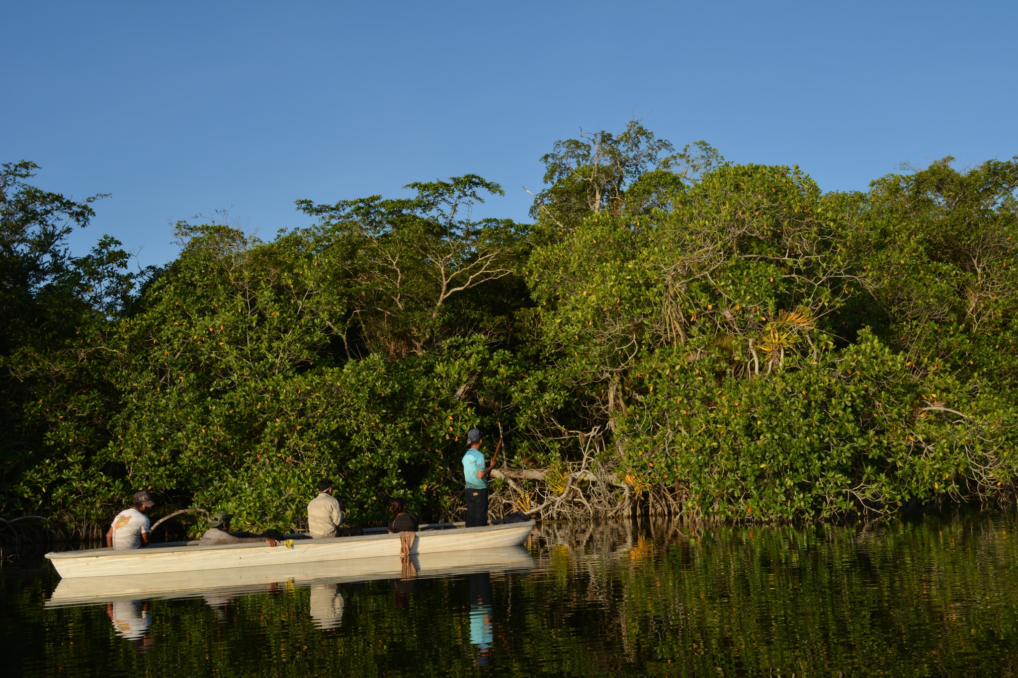 Convertirán Manglar de Tabasco en área natural protegida – Bien Común